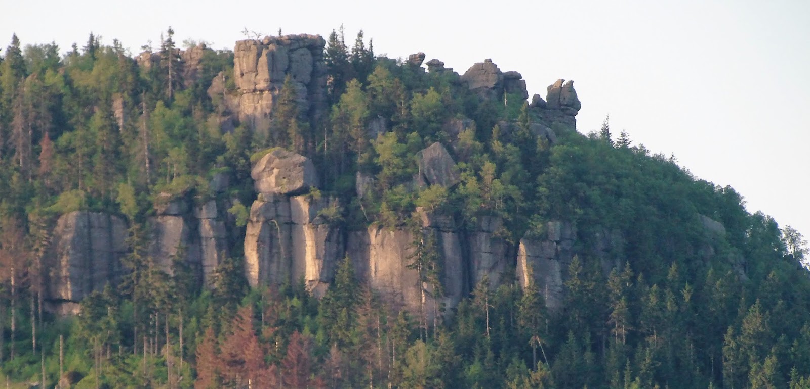 DZIKIE SUDETY: Szczeliniec Wielki