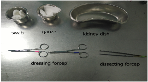 Easy Prosedur: Melakukan dressing