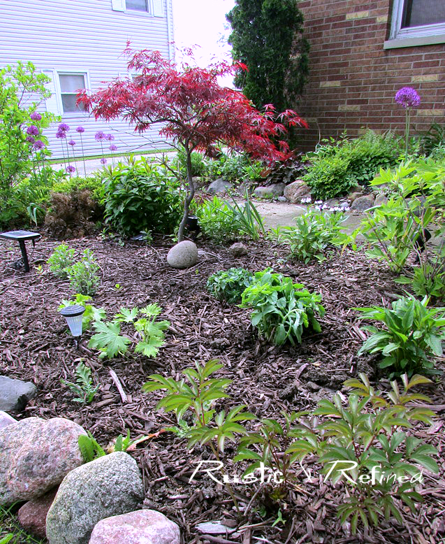 Early Spring Garden Tour | Rustic & Refined