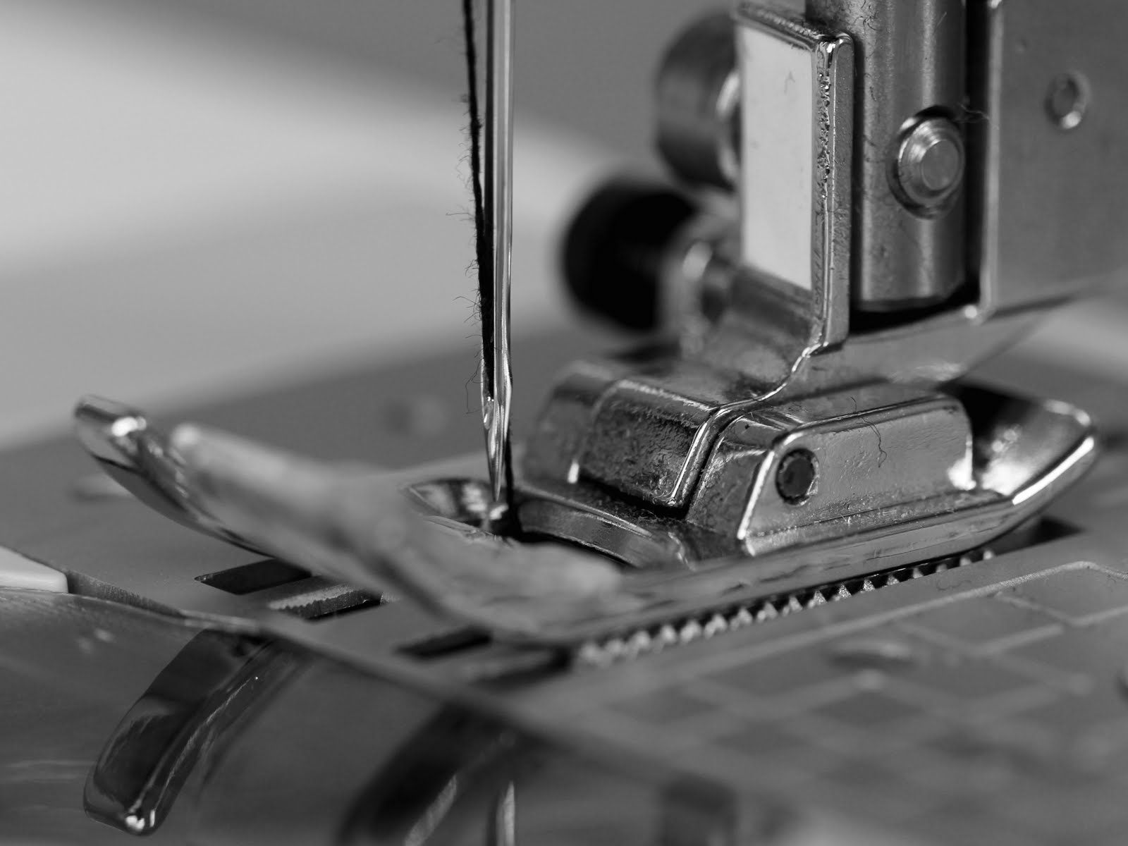 Click! Snap! Shot!: Contraption