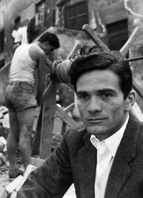 The Wild Reed: The Impossible Desire of Pier Paolo Pasolini