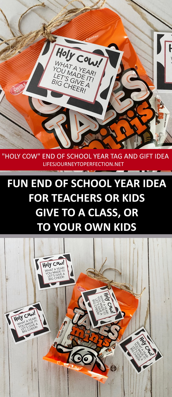 Life's Journey To Perfection: "Holy Cow" End of School Year Printable ...