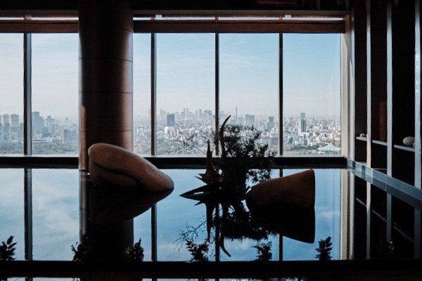 Sebastian Stan Labyrinth Pool