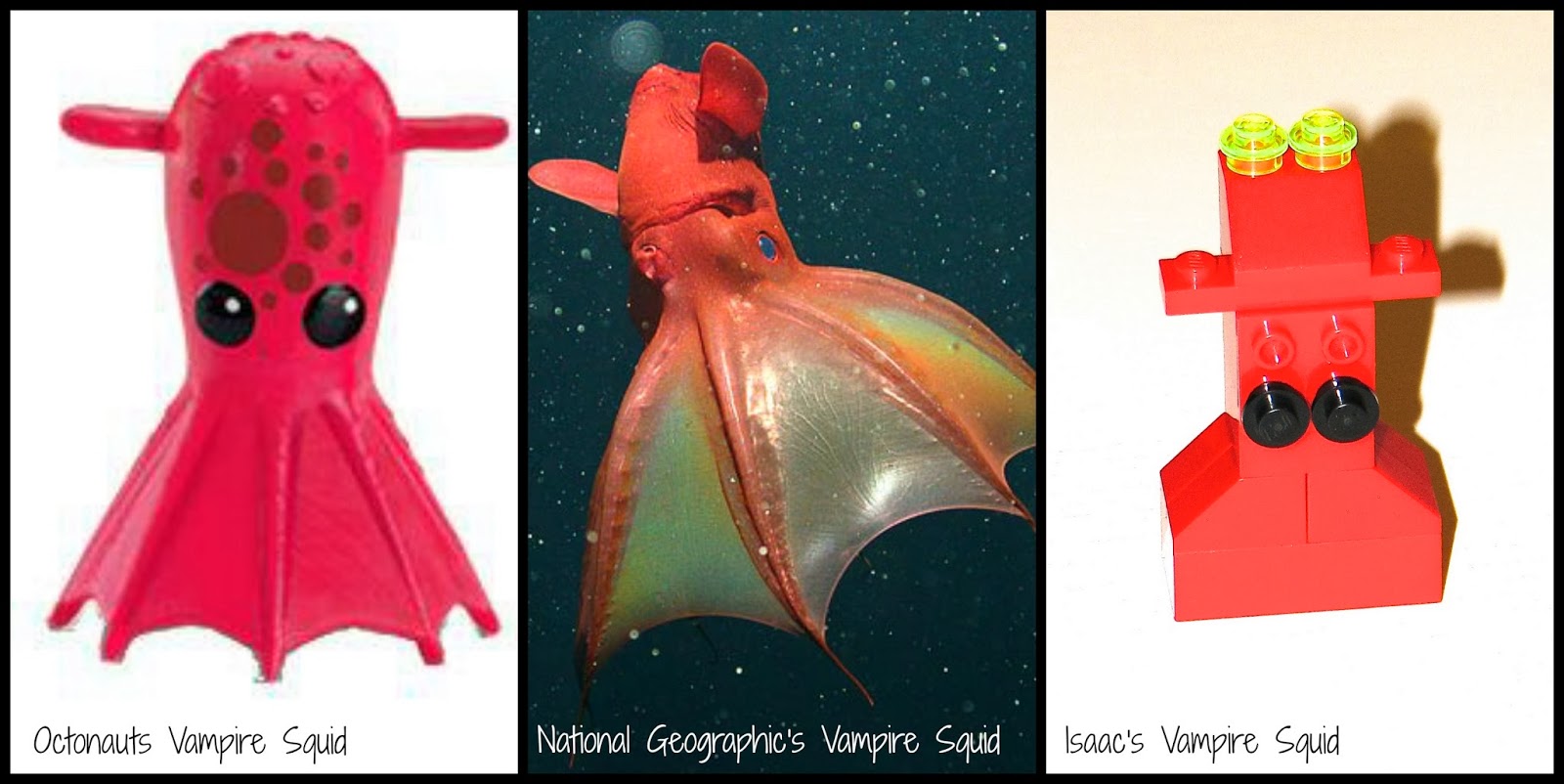 Vampire Squid Octonauts