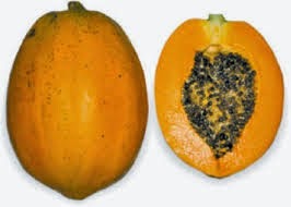 Papaya cultivation in India: Varieties