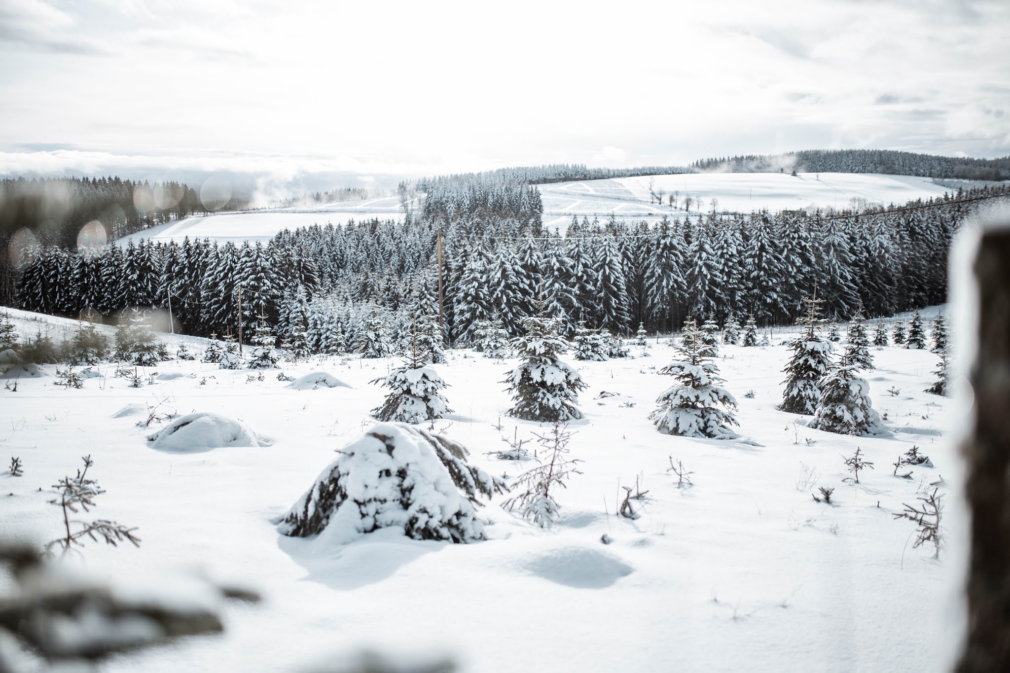 Laura Döring Fotografie: ES SCHNEIT! // Januar 2021