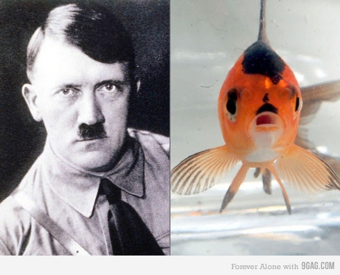 The Fish Thread - Page 15