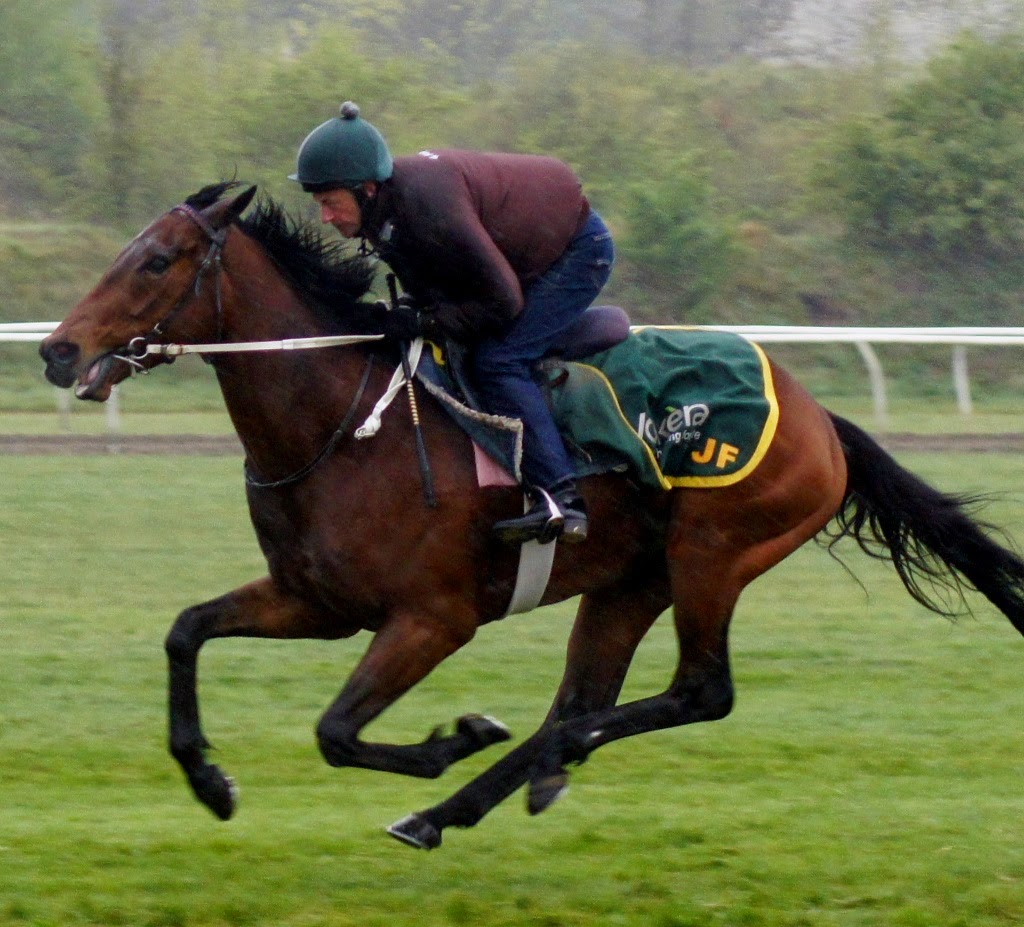 Julia Feilden Racing: Looking for the silver lining