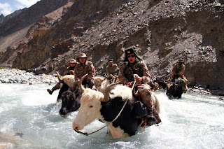 People's Liberation Army Troops Using Bulls | Global Military Review