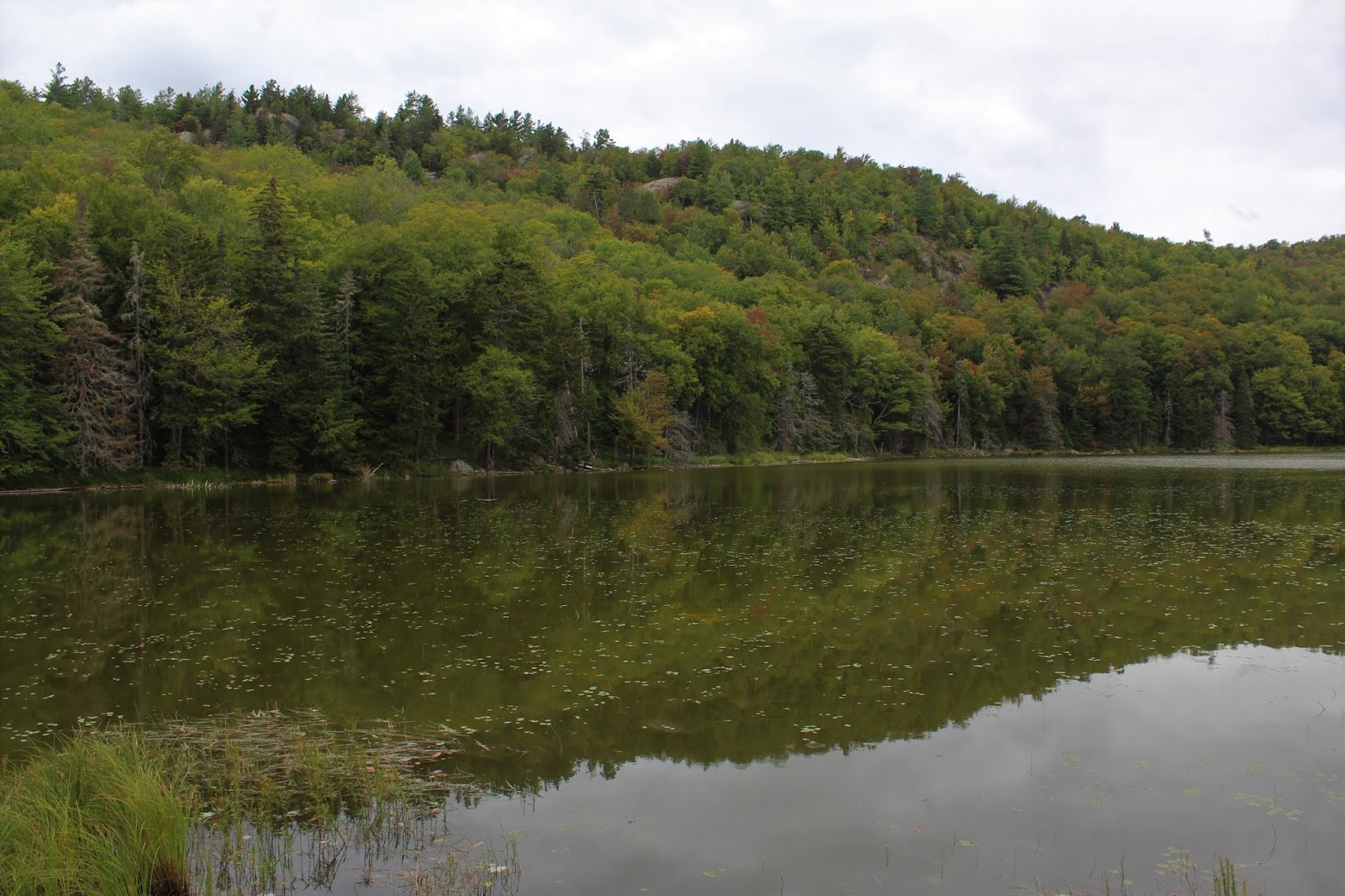 Walking Man 24 7: John Pond Ridge(Siamese Ponds Wilderness-Adirondacks)