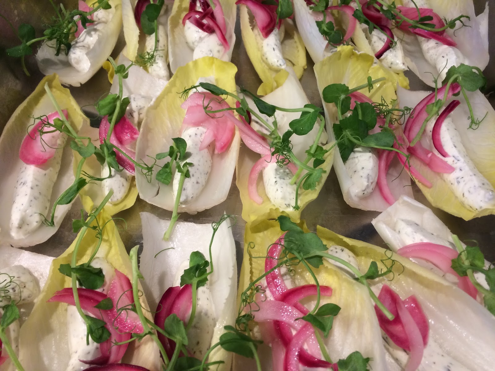 Elsas Skafferi: Endiver med färskost och syltad röd lök