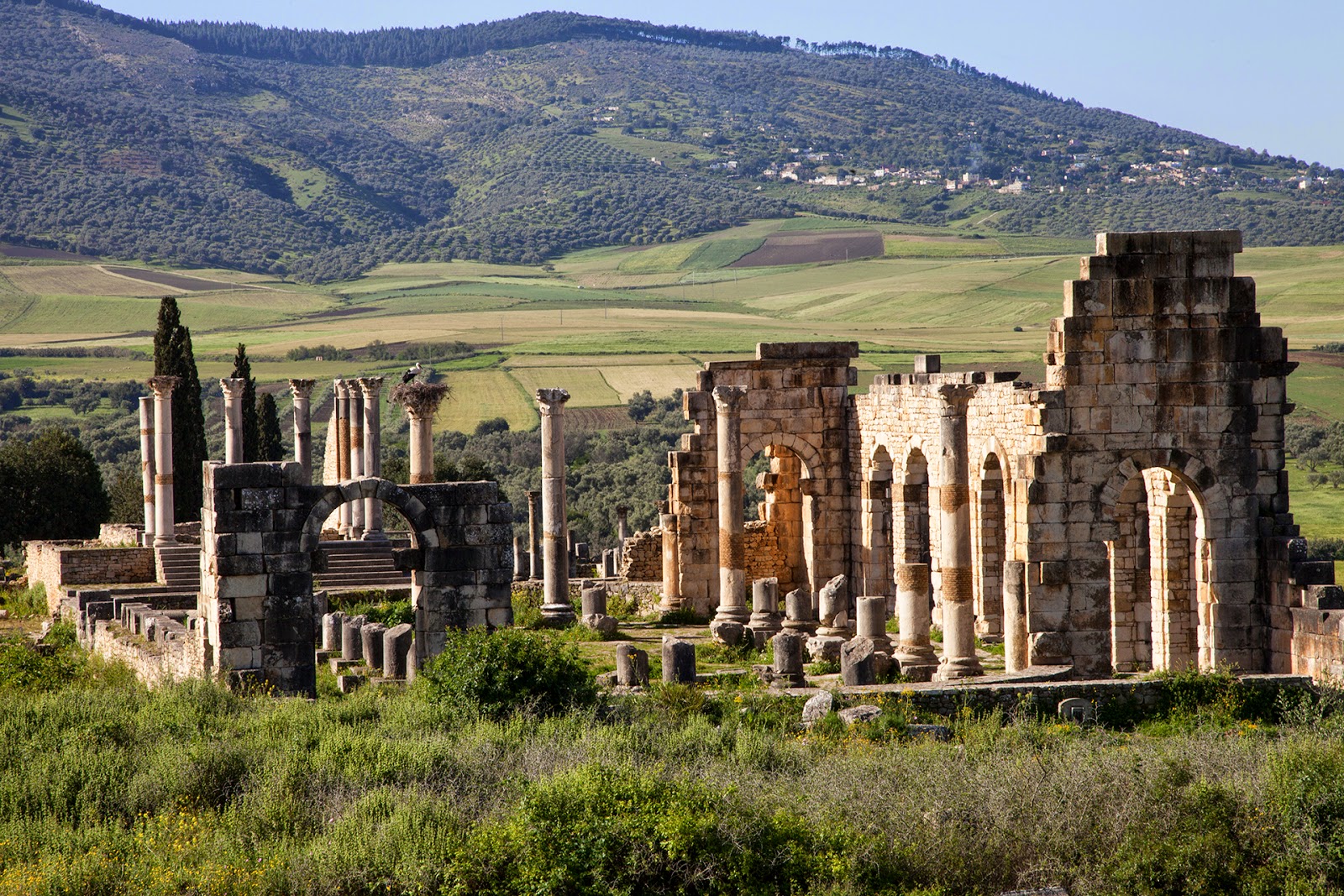 Walili - Moroccan Volubilis - The Moroccan Culture