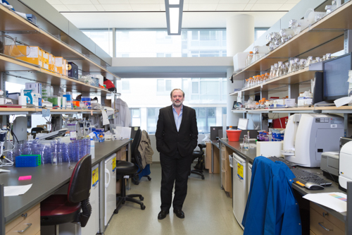 indogpatch: January 2017