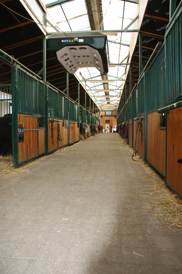 Reitstall Radl: Reitstall & Einstellbetrieb