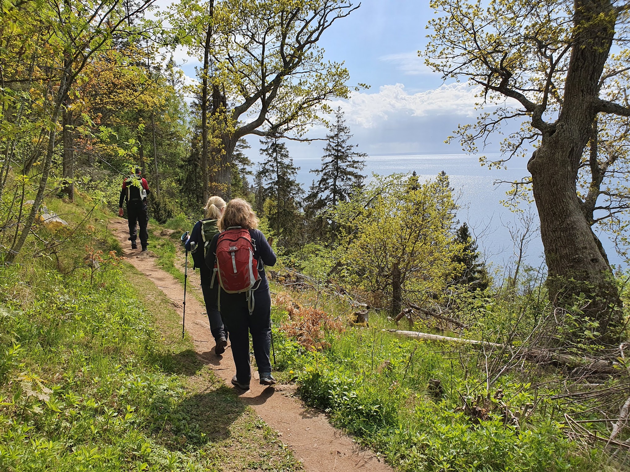 Team Vildmark: Vandring Omberg runt