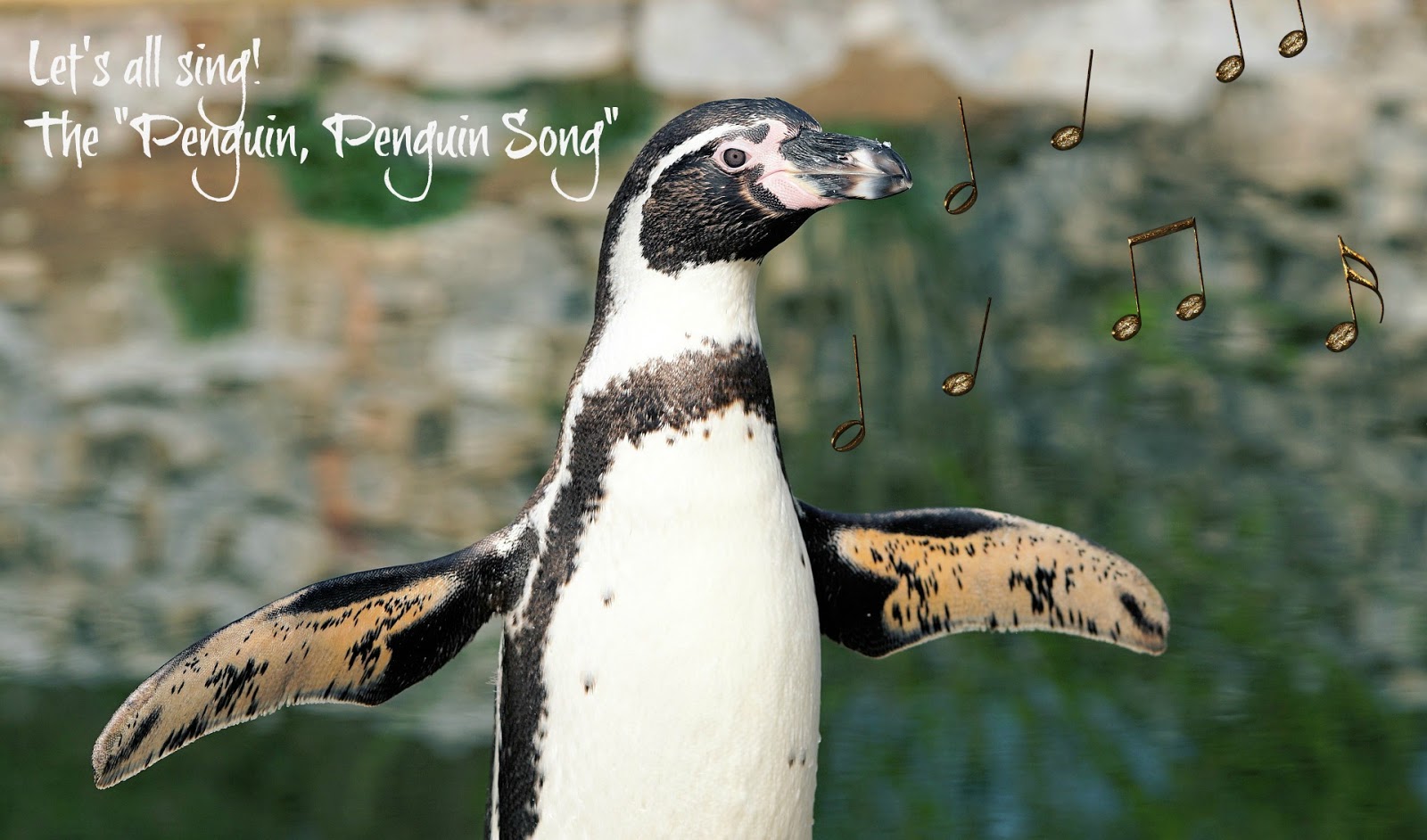 Musically Montessori: Let's All Sing the "Penguin, Penguin Song ...