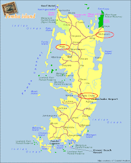 Footprints Across Africa: My First Business Trip - Pemba Island