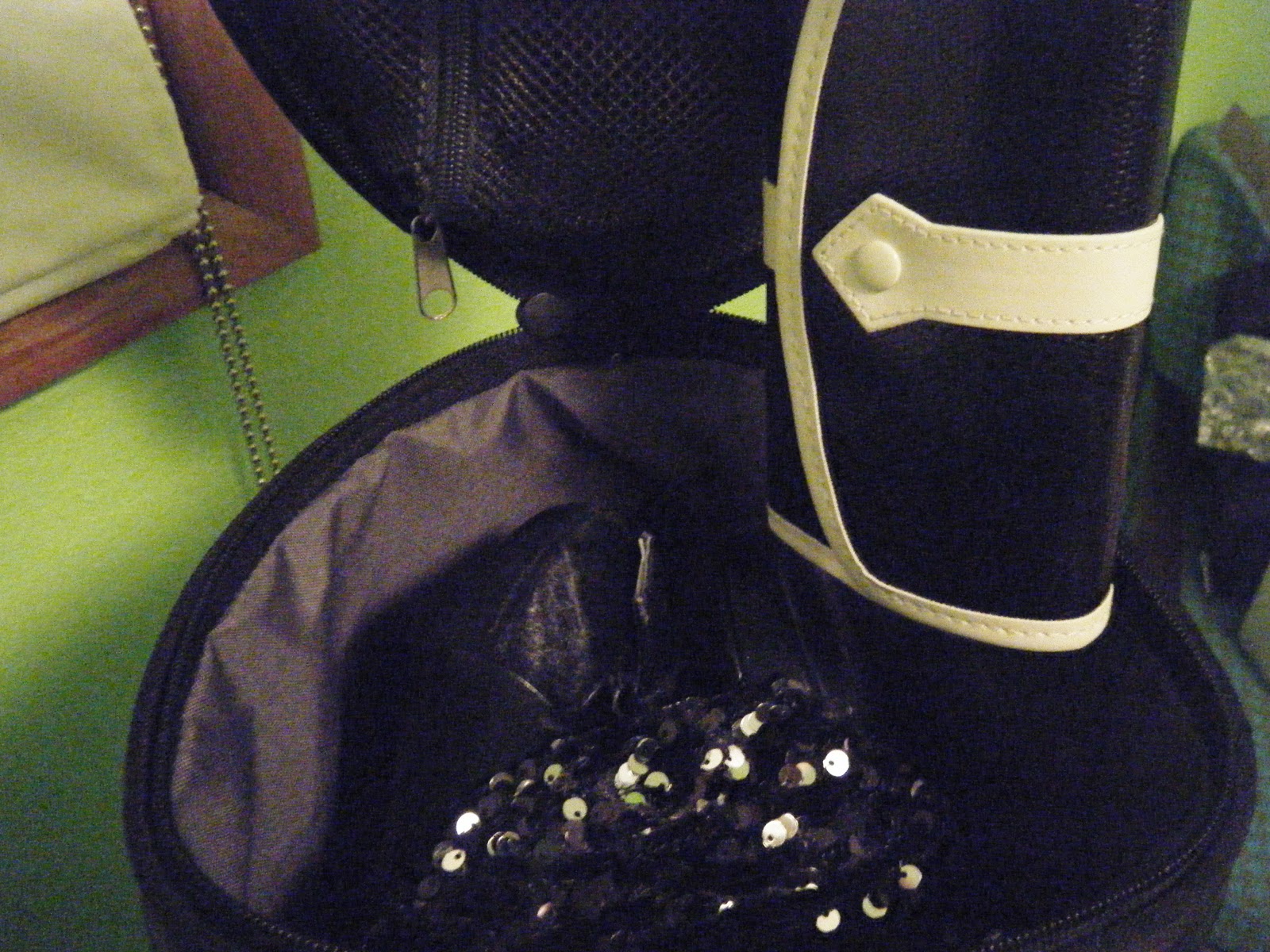 Review: Skyroll Garment Bag - Shereen Travels Cheap
