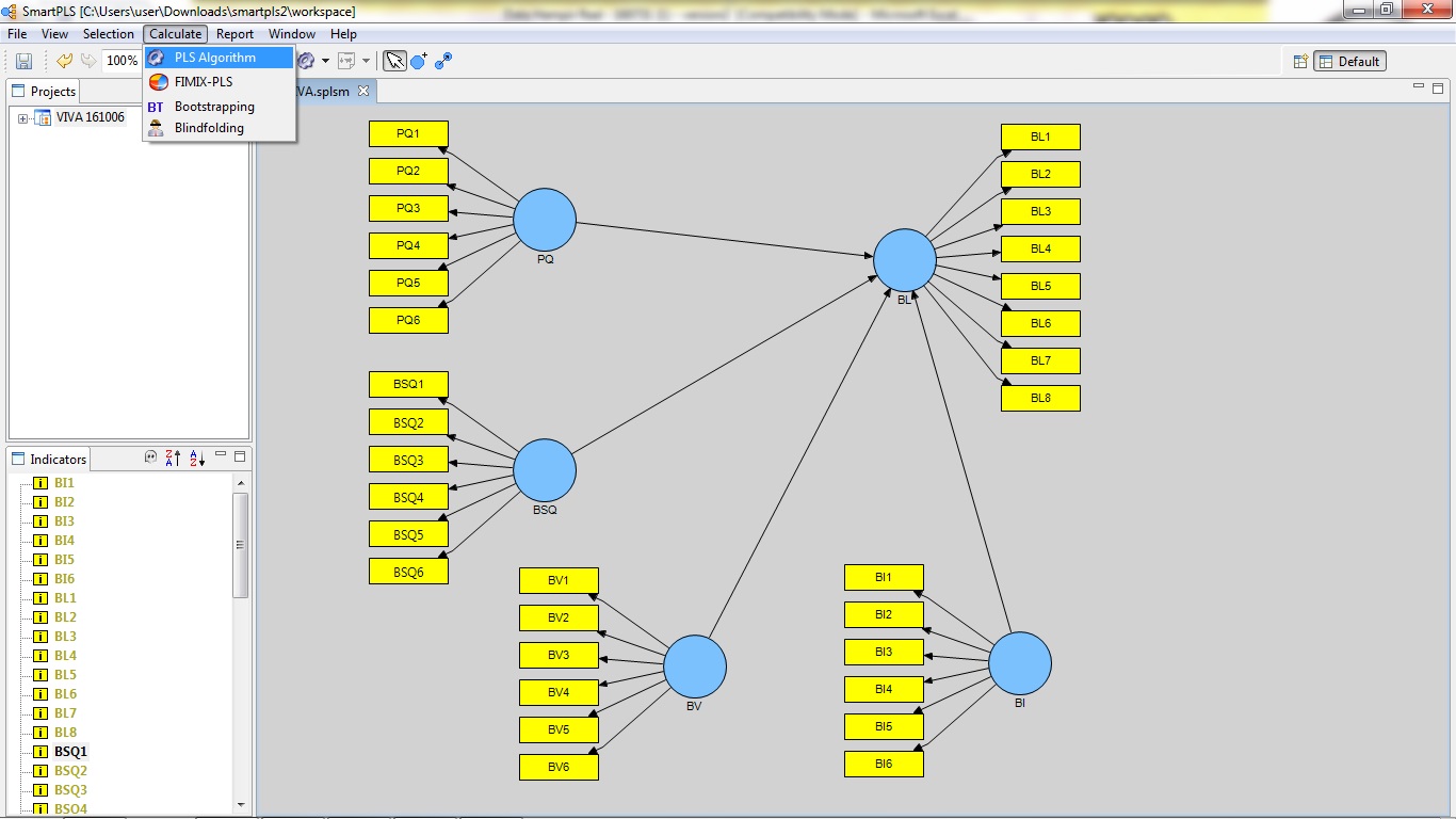 Tinta Dr SAA: SmartPLS - Measure Reliability