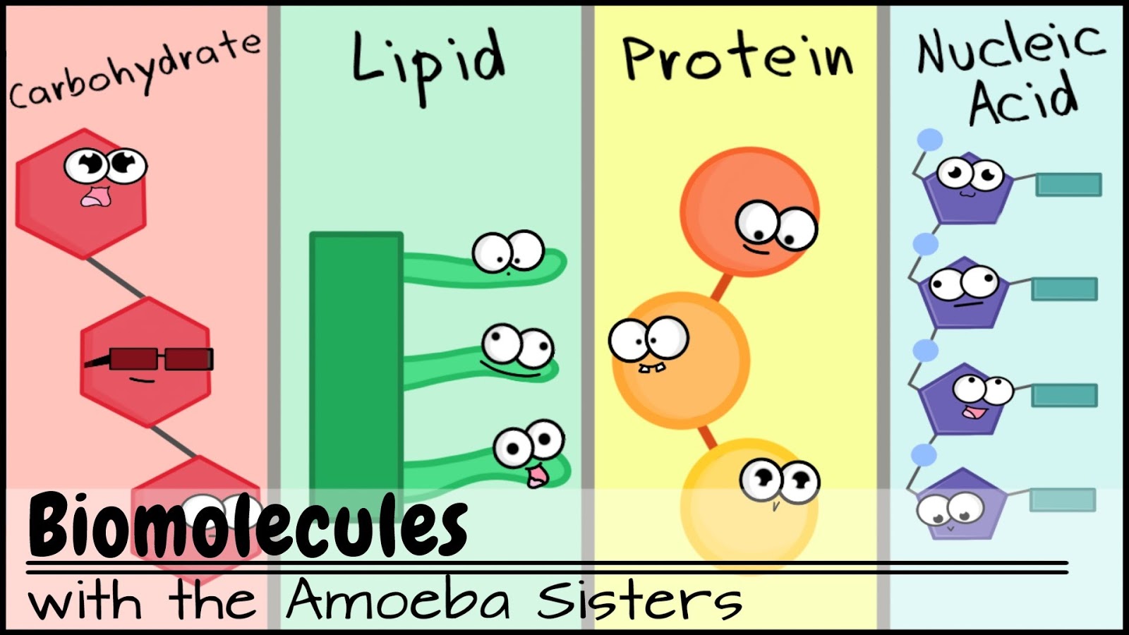 Bioelementos Y Biomoleculas Nucleic Acid Muscle Contr Vrogue co bioelementos-y-biomoleculas-nucleic-acid-muscle-contr-vrogue-co