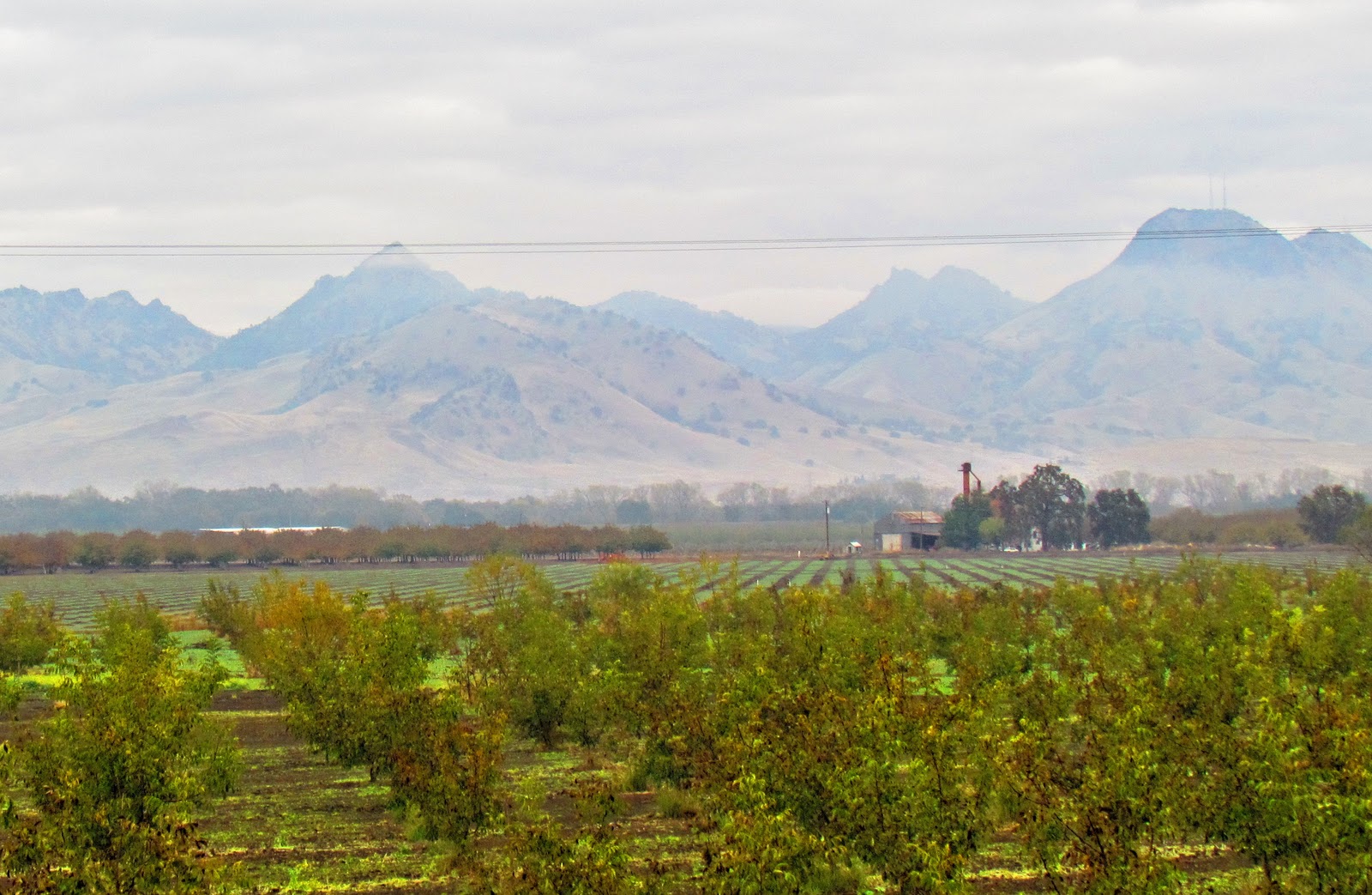 Adventures of a Vagabond Volunteer: Meet the Sutter Buttes