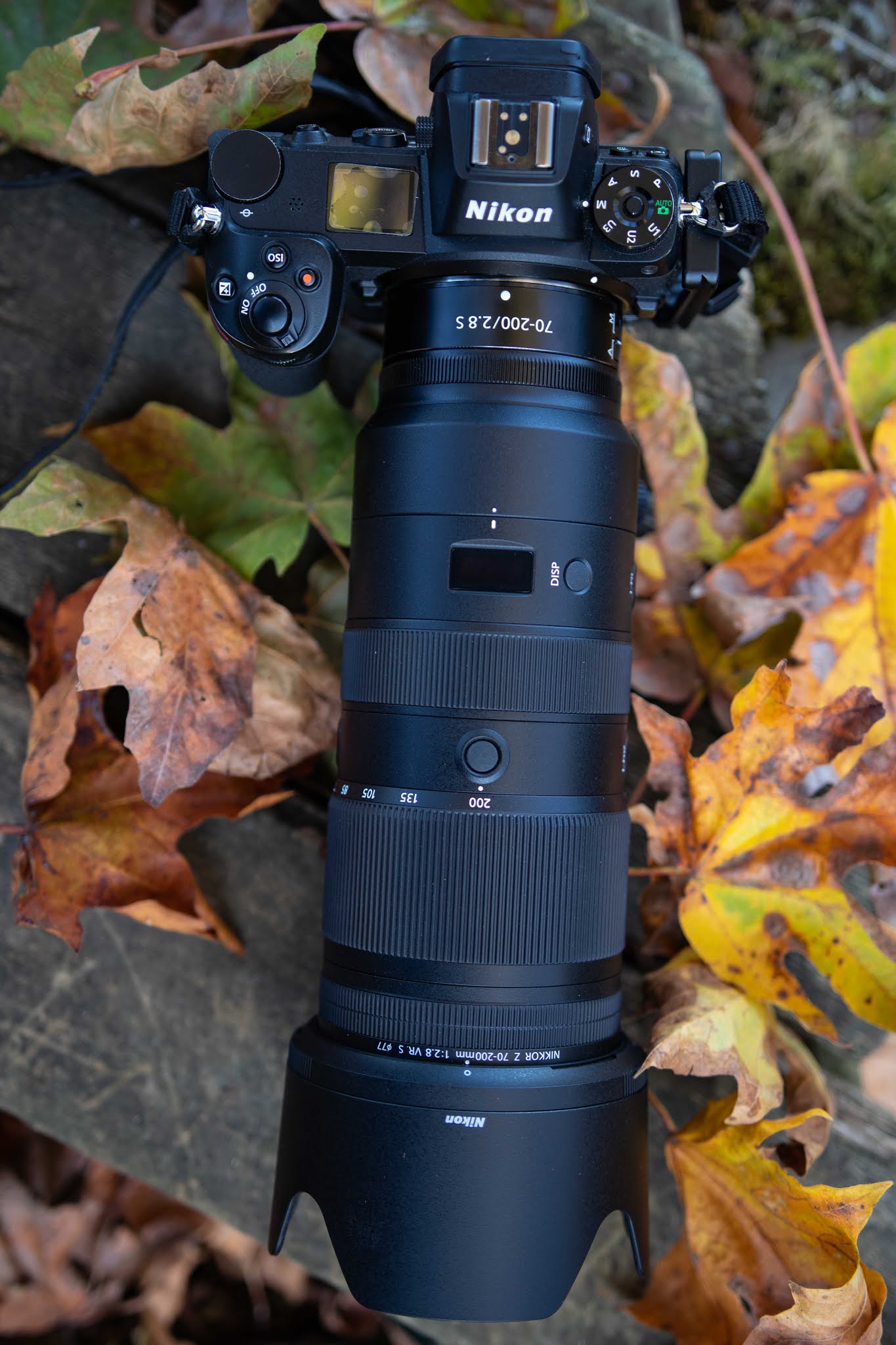 Illuminations from the attic: Nikon Z 70-200mm f2.8 VR S Review