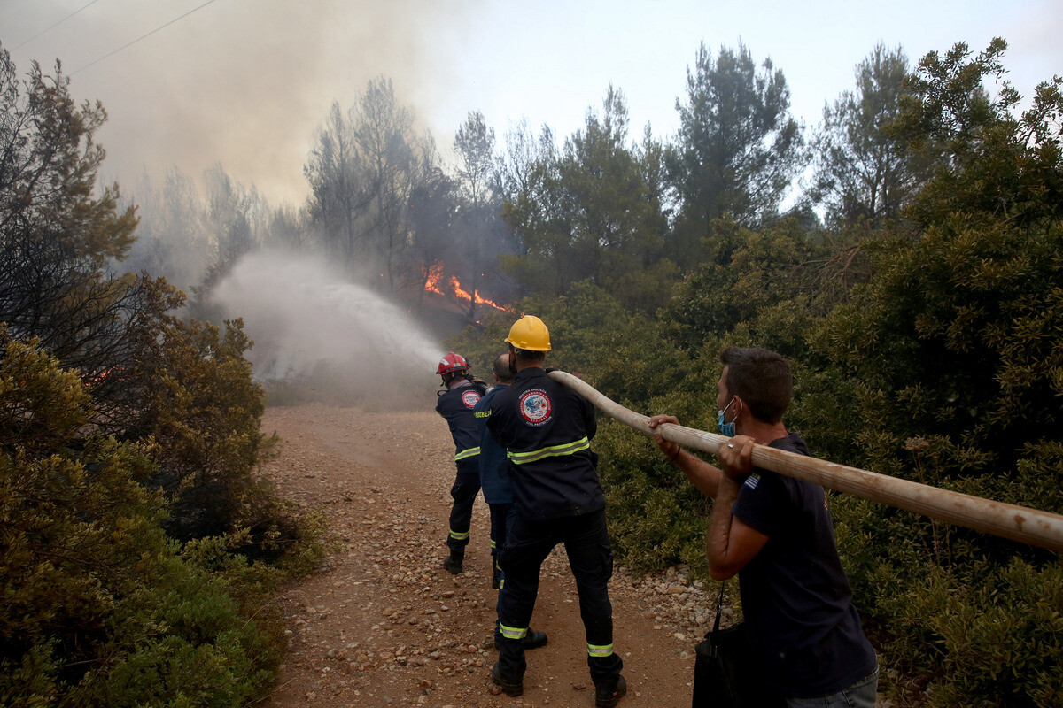 ΗΡΩΕΣ ΣΤΗ ΦΩΤΙΑ: ΑΝΘΡΩΠΟΙ ΣΩΖΟΥΝ ΑΛΟΓΑ ΚΑΙ ΣΚΥΛΙΑ - ΟΙ ΠΥΡΟΣΒΕΣΤΕΣ ΠΟΥ ...