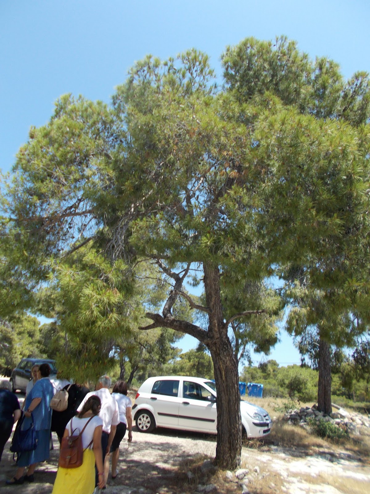 ΘΑΥΜΑΤΑ και ΣΗΜΑΔΙΑ 3: ΙΕΡΑ ΜΟΝΗ ΑΓΙΟΥ ΜΗΝΑ - ΑΙΓΙΝΑ
