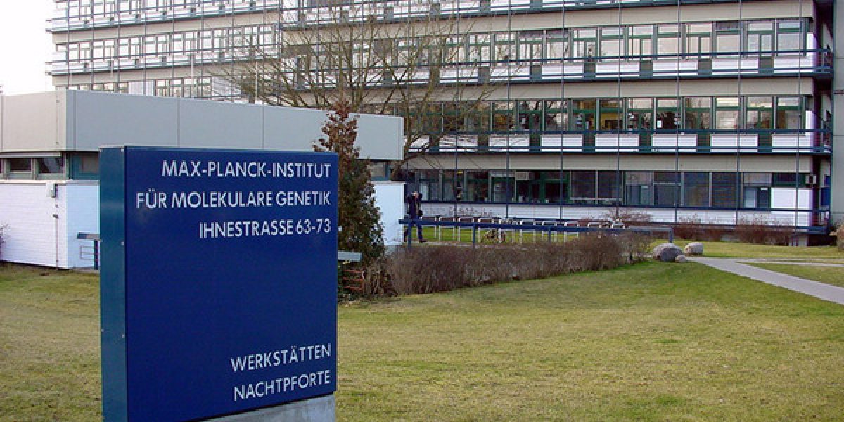 PhD international awards at Max Plank Institute, Germany