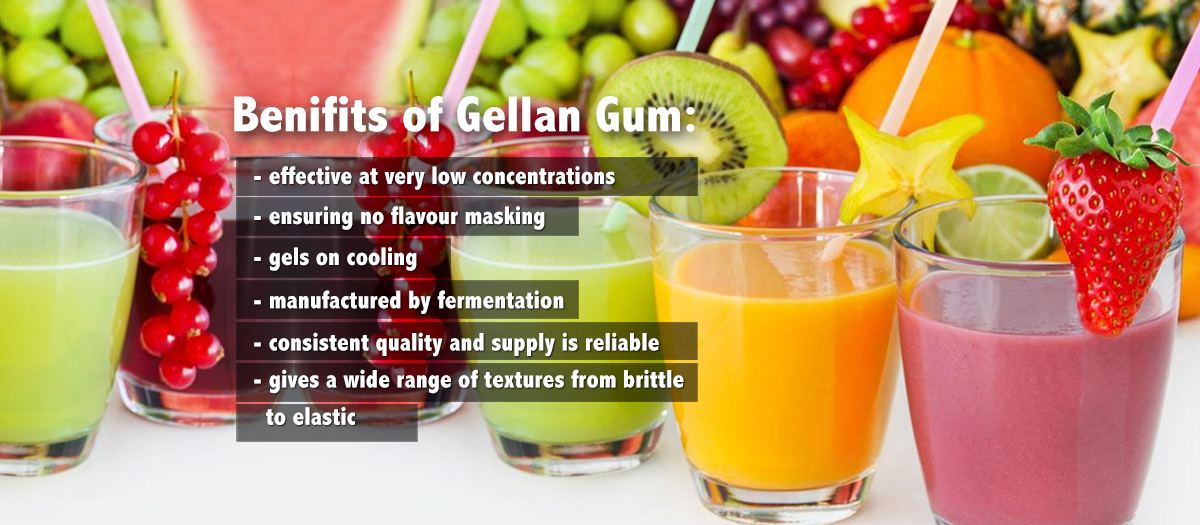 Gellan Gum Solutions & Applications