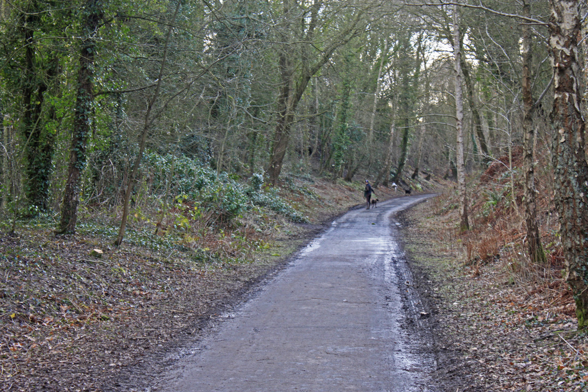 Captain Ahab's Watery Tales: Shropshire Canal - Radlay