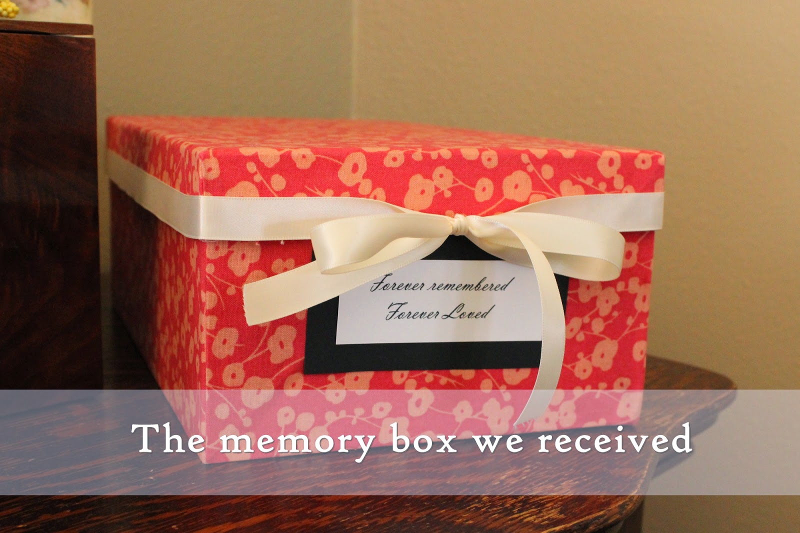 The Ashmore's; Life, Death and Everything Else: The Harper Project Info