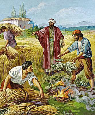 LA PUERTA CELESTIAL: LA PARÁBOLA DEL TRIGO Y LA CIZAÑA