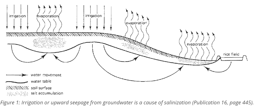Prevention and Remediation of Saline Soils