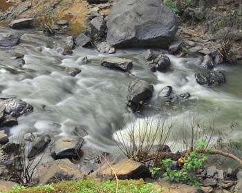 Abbey Falls Coorg | Things to do | Best time to visit - My Eyes Of India