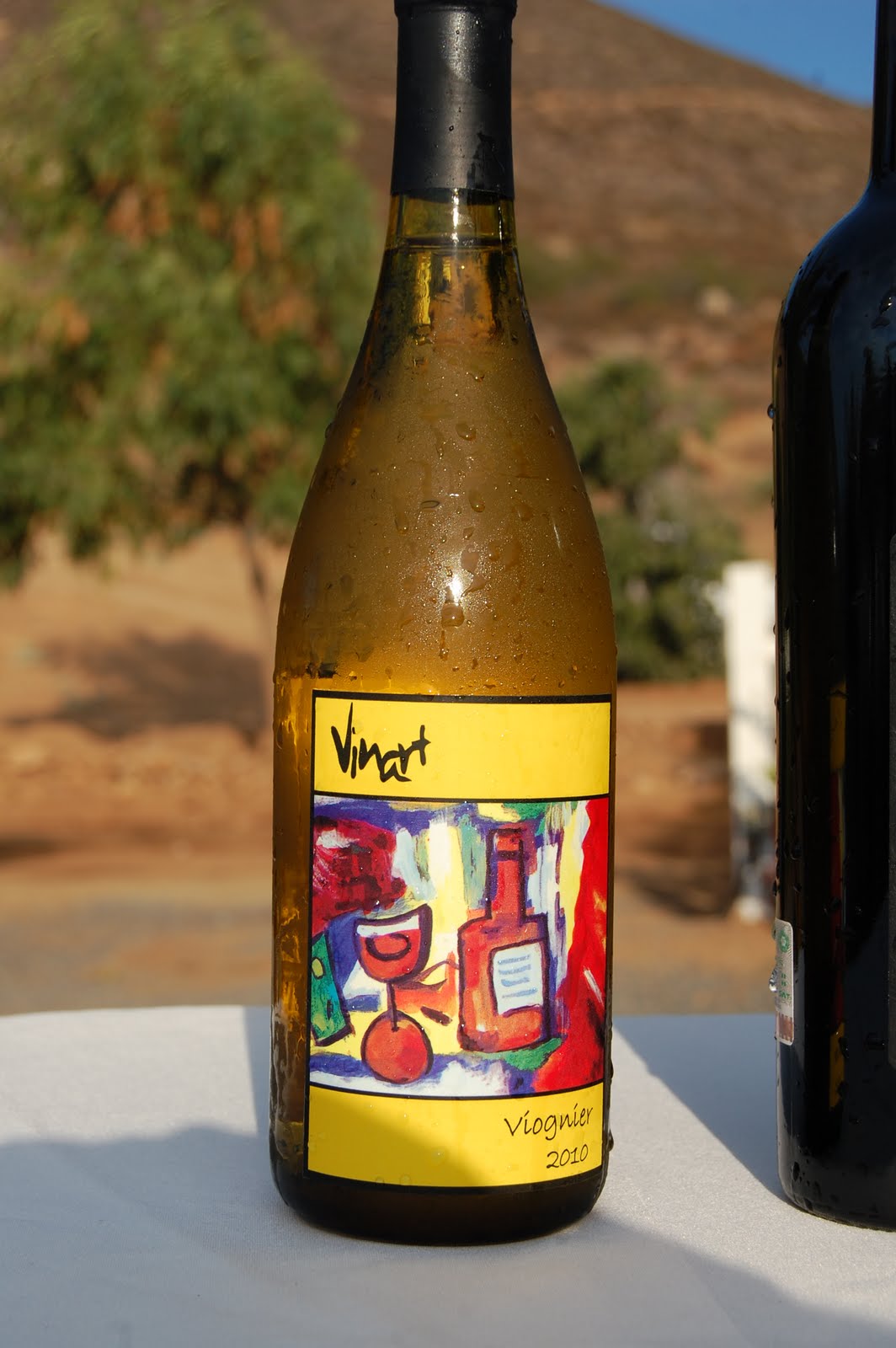 Enofilo: Fiesta de la vendimia vinart hacienda guadalupe