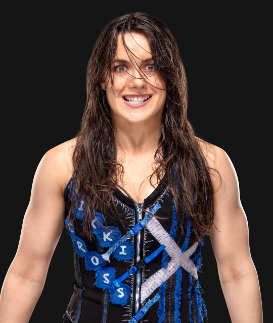 AMAZING Women Of Wrestling: WWE SHAKE-UP BONUS POST: WHAT ABOUT NIKKI ...