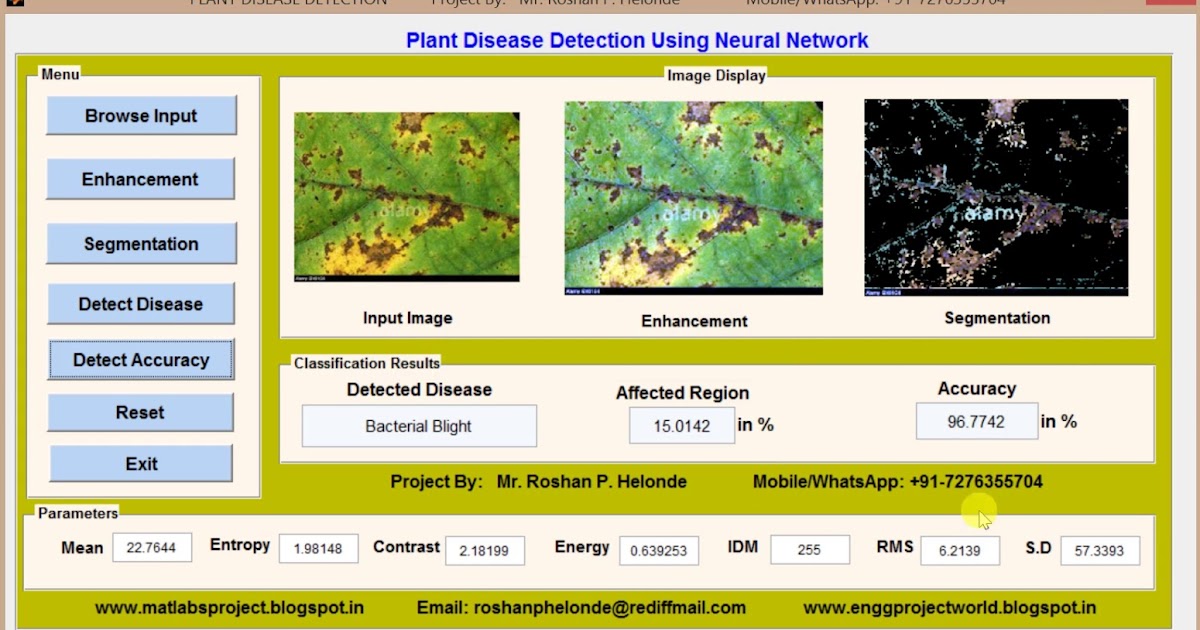 Plant Disease Detection & Classification using Neural Network Matlab ... Plant Disease Detection & Classification using Neural Network Matlab ...