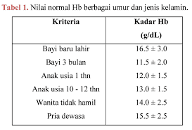 Cara Meningkatkan Hemoglobin
