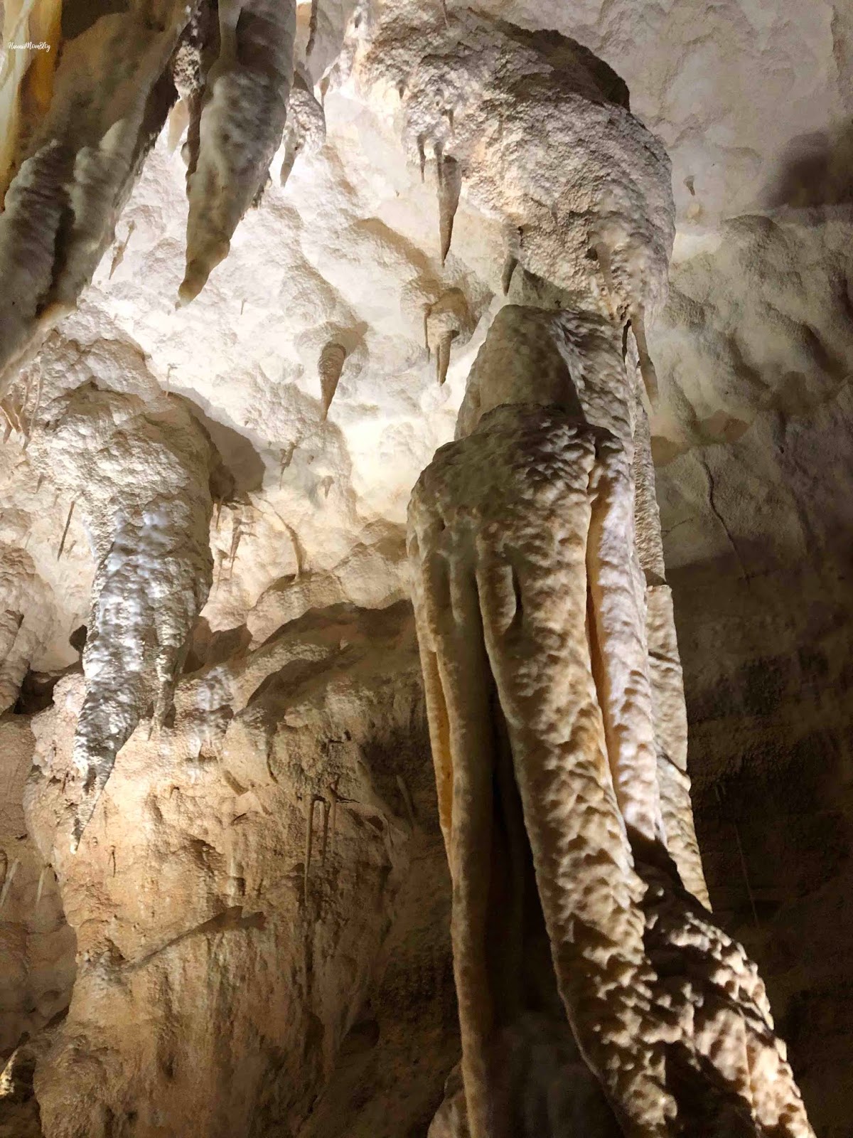 Hawaii Mom Blog: Visit New Zealand: Ruakuri Cave