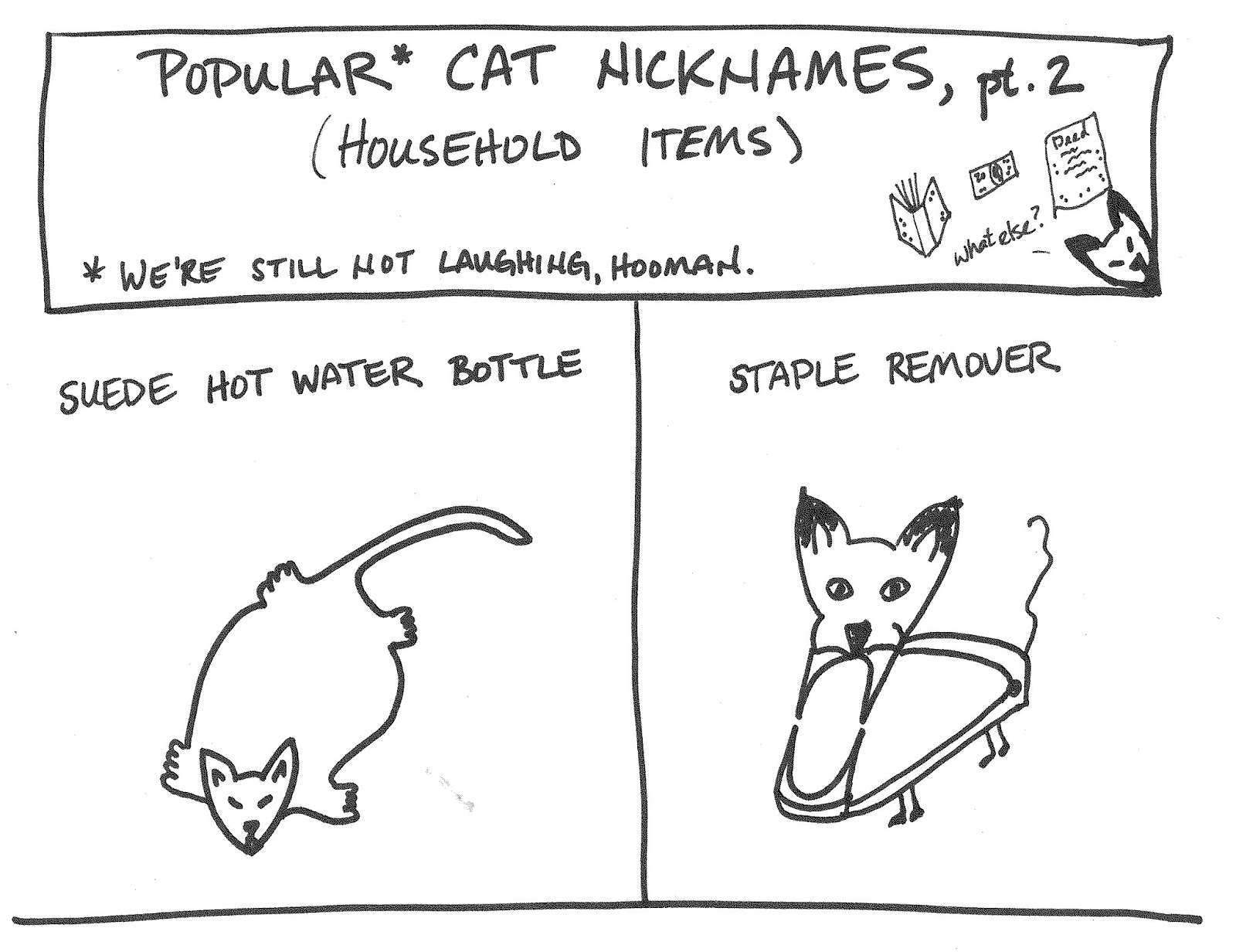 True Book Addict...Books, Cats, and More: Cat Thursday: Nicknames