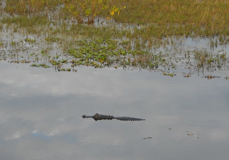 Have Retirement. Will Travel.: Vero Beach, Sebastian Inlet, Dodger Town