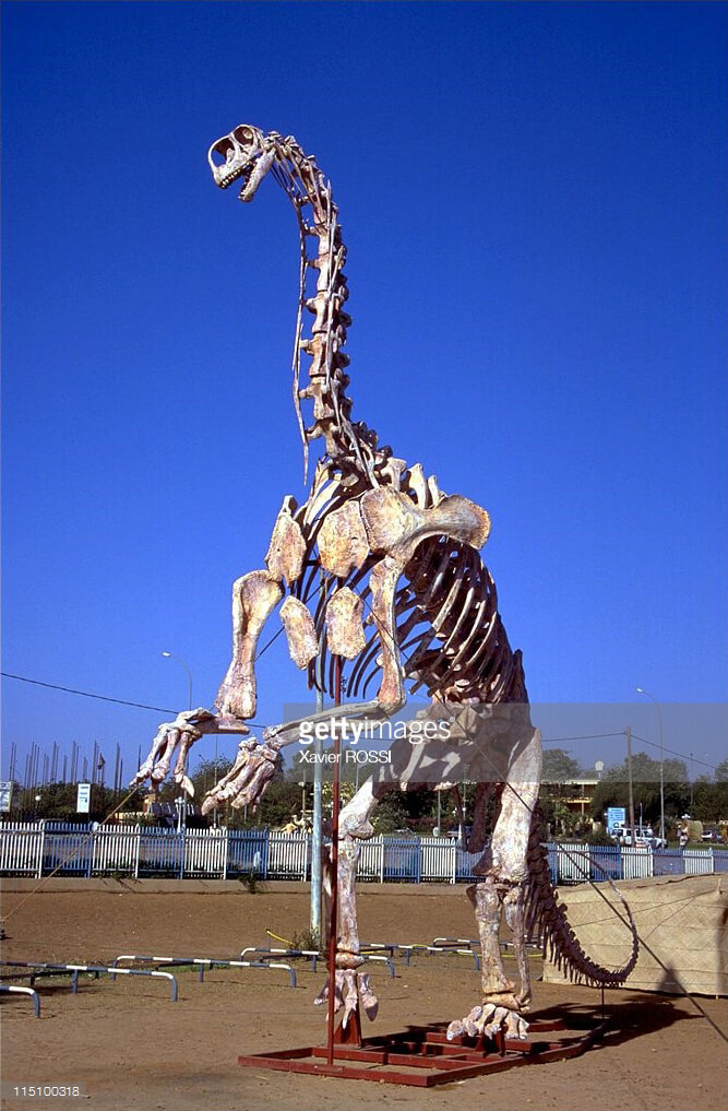 Mundo Pré-Histórico: Jobaria