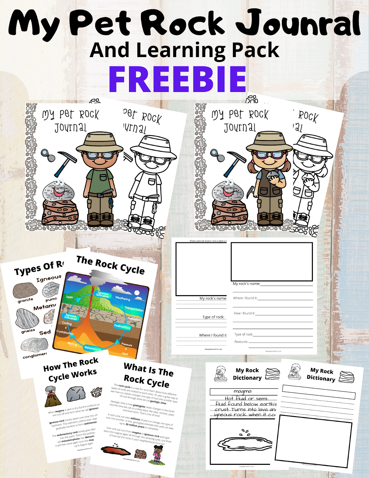 Messy, Beautiful, Fun: Free Rock Cycle My Pet Rock Journal And Learning ...