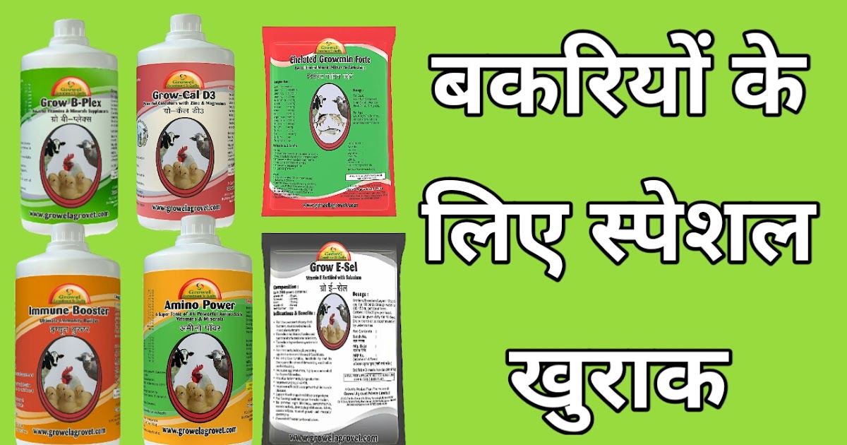 Importance of Mineral And Vitamins For Goats - Goat Farming