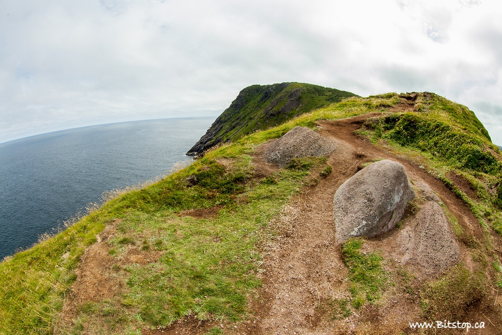 Bitstop: Torbay Point