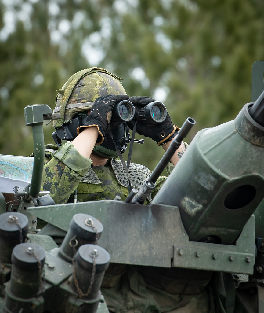 SNAFU!: The Royal Canadian Dragoons (RCD) conduct level 2 and 3 patrols