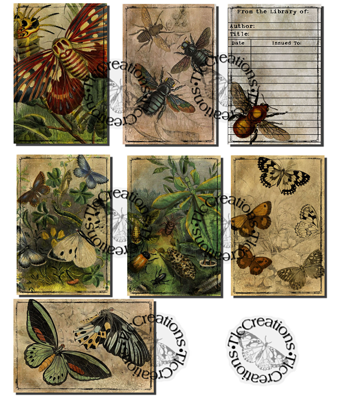 Create with TLC: Butterflies, Bees and Bugs....Plus a Freebie