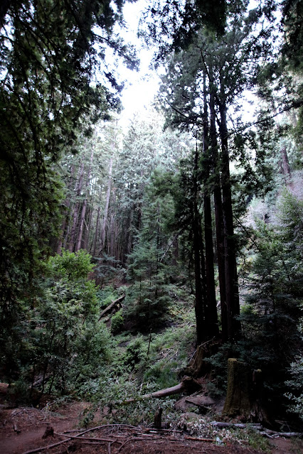 Wunderlich County Park