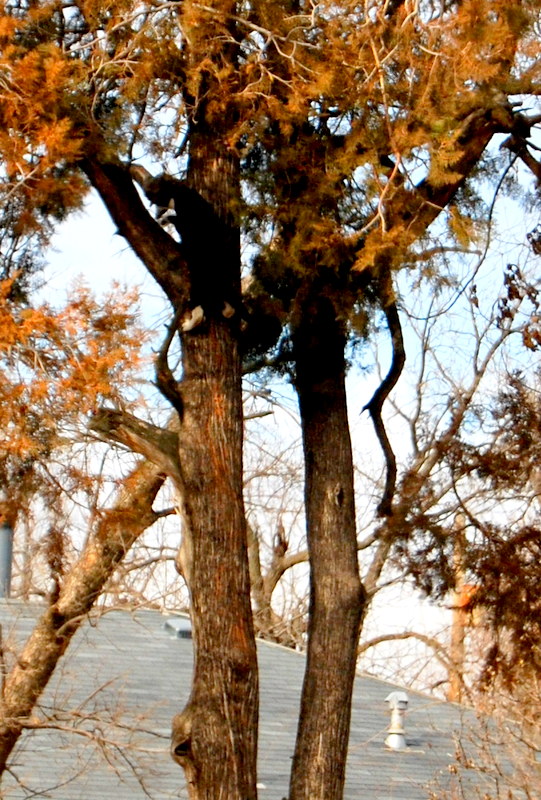 Before It Vanishes: Kipp, KS